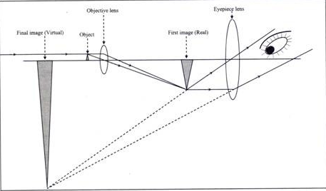 Parts of a Compound Microscope: