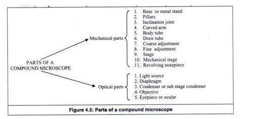 Theseare the parts, which support the optical parts and help in their ...